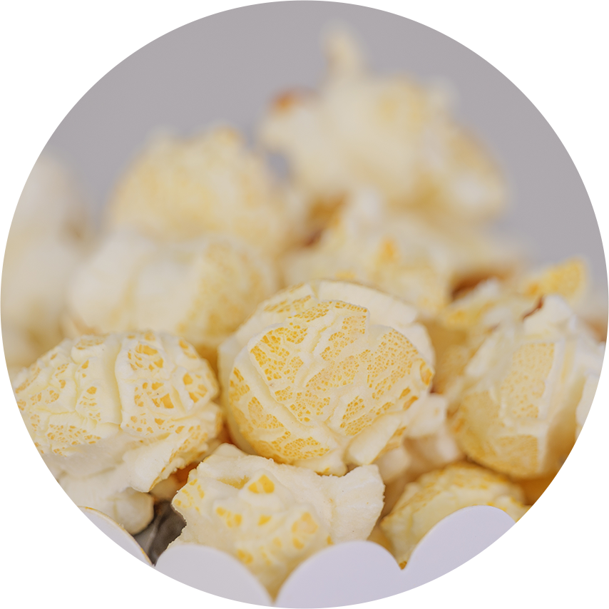 Sunshine City Popcorn White Cheddar Flavored Bag | Sunshine City ...